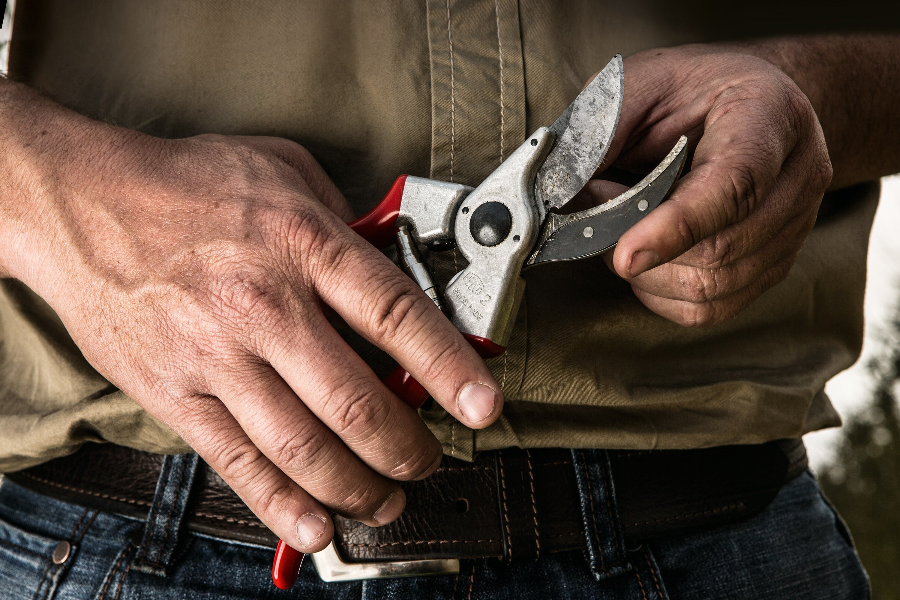 Secateurs | Swiss Precision & Life Warranty – FELCO North America