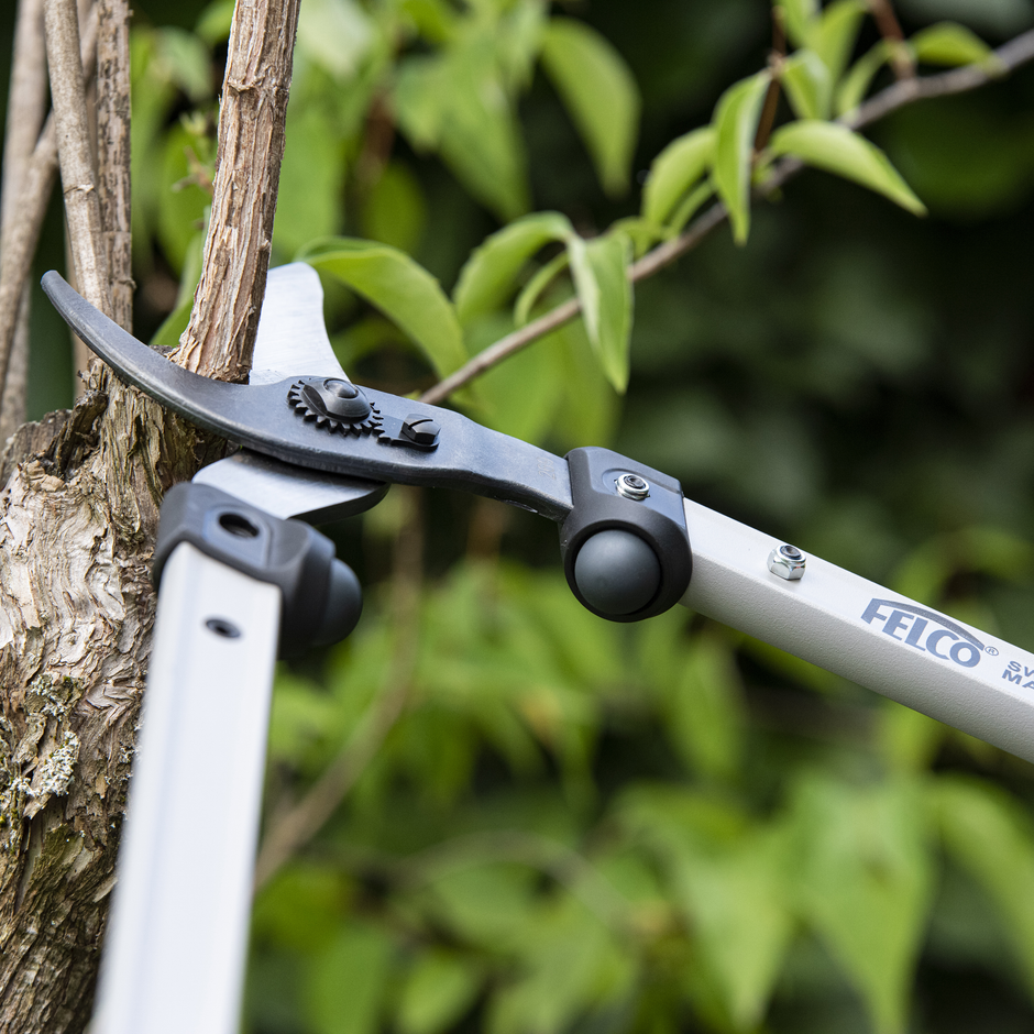 Loppers | Swiss Precision & Ergonomic Tree Pruning Tools – FELCO North ...