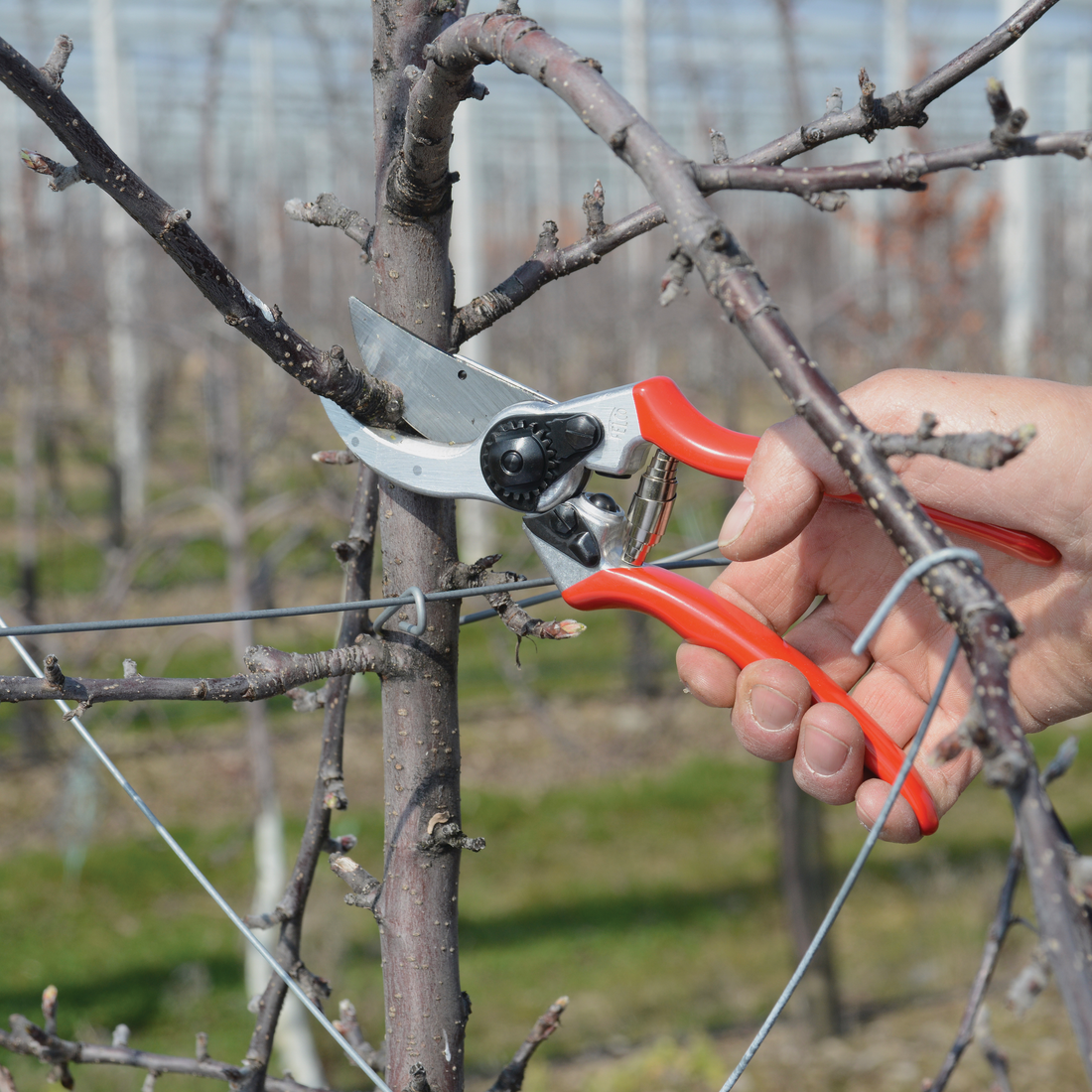 FELCO 2 - Pruning shears – FELCO North America