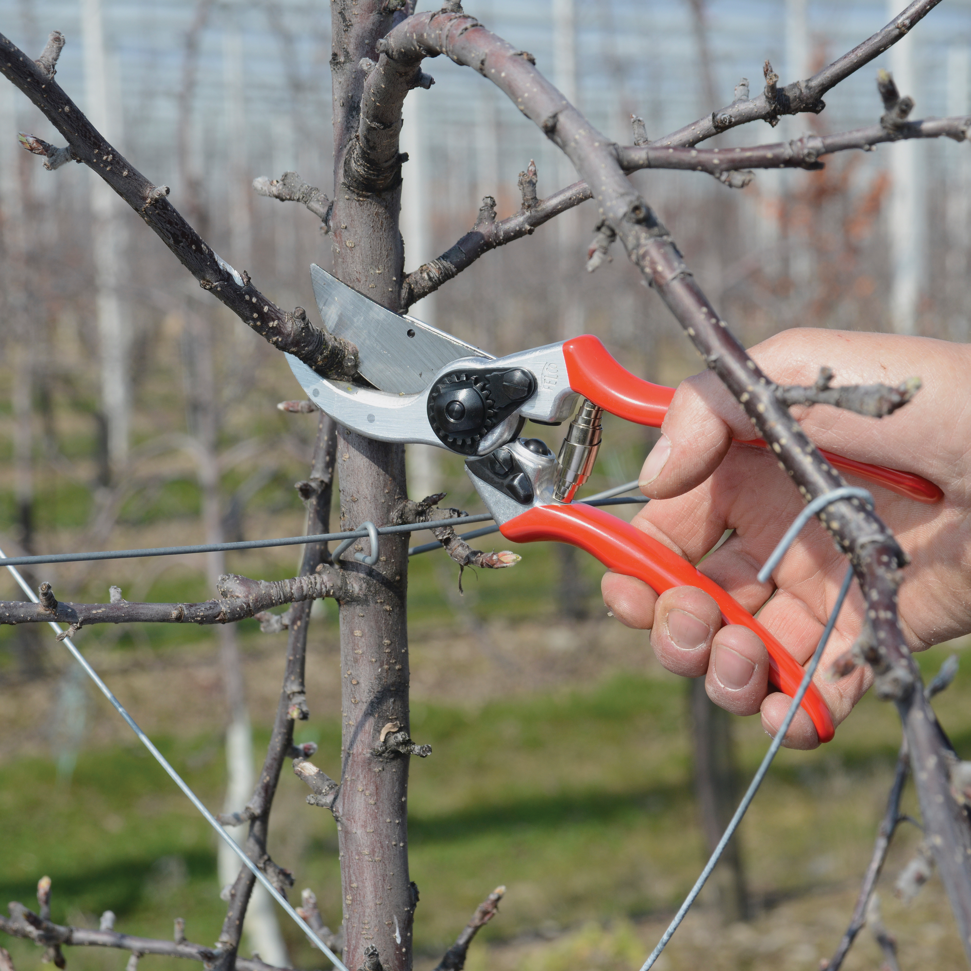 FELCO 2 Pruner | The Icon with Lifetime Warranty – FELCO North America