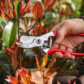 Secateurs | Swiss Precision & Life Warranty – FELCO North America