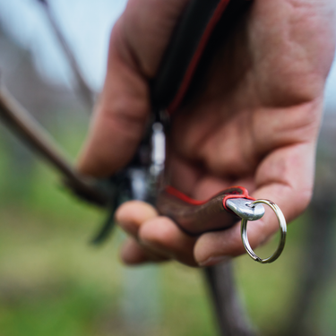 FELCO 8 Elite - Pruning shears – FELCO North America