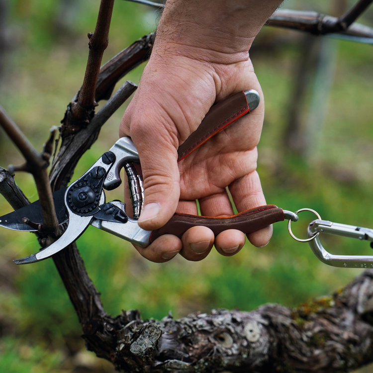 FELCO 8 Elite - Pruning shears – FELCO North America