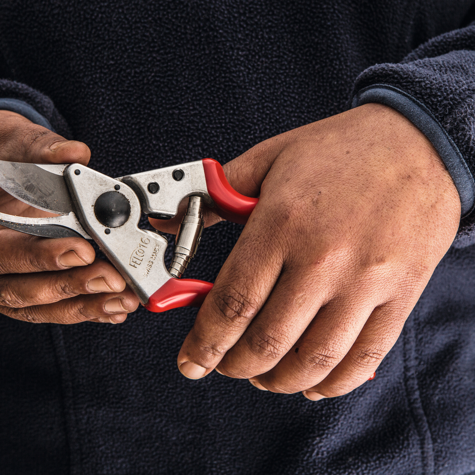 Pruning Shears | Swiss Precision & Ergonomic Hand Pruners – FELCO North ...
