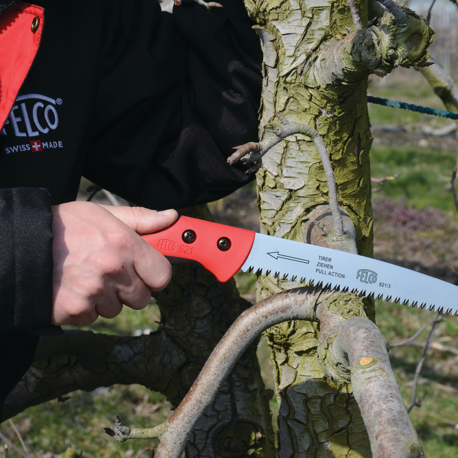 Pruning Saws | Swiss Precision, Clean Cuts – FELCO North America