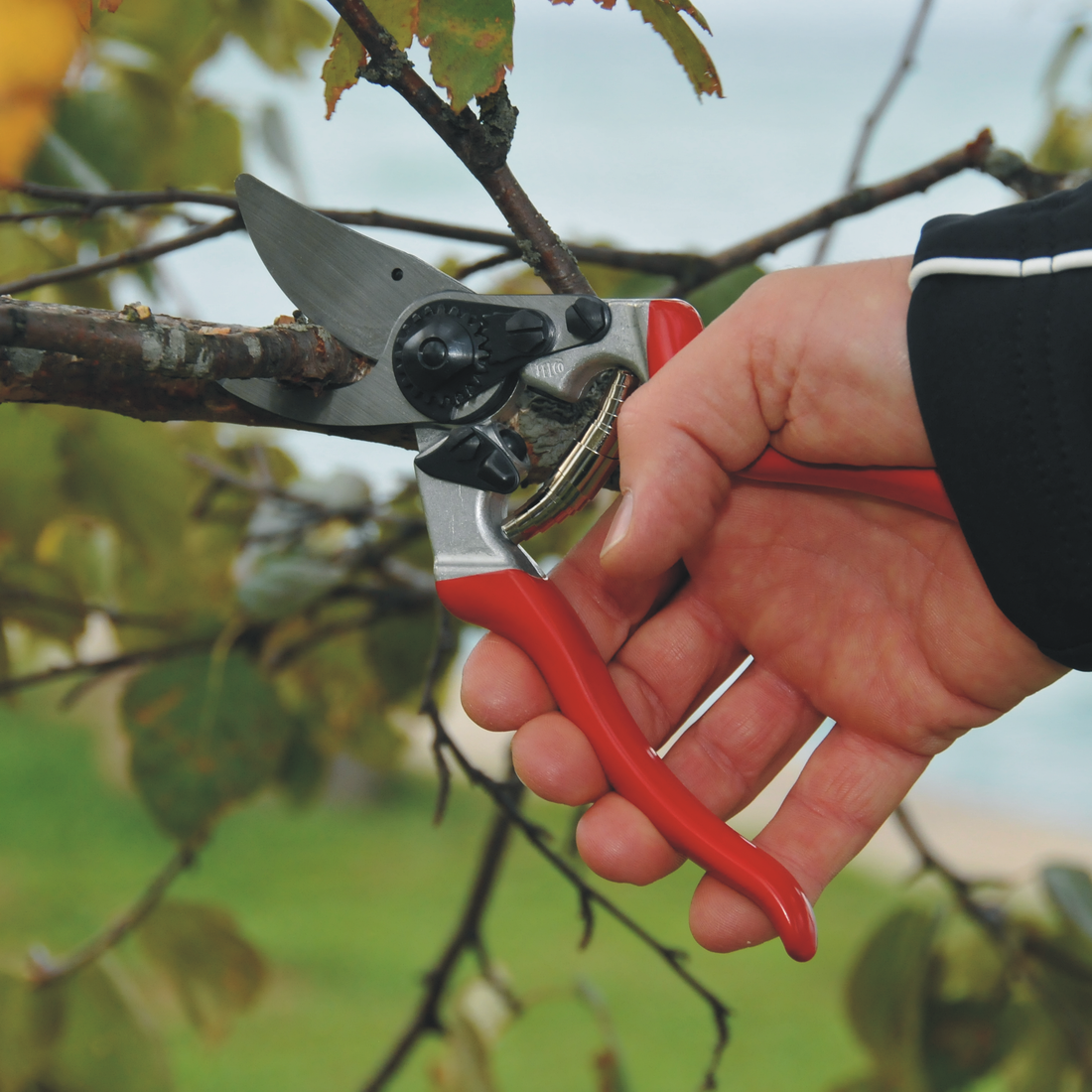 FELCO 8 - Pruning shears – FELCO North America