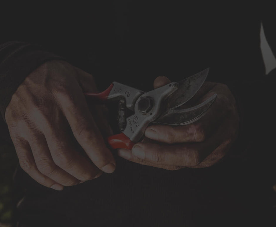 Pruning shears – FELCO North America